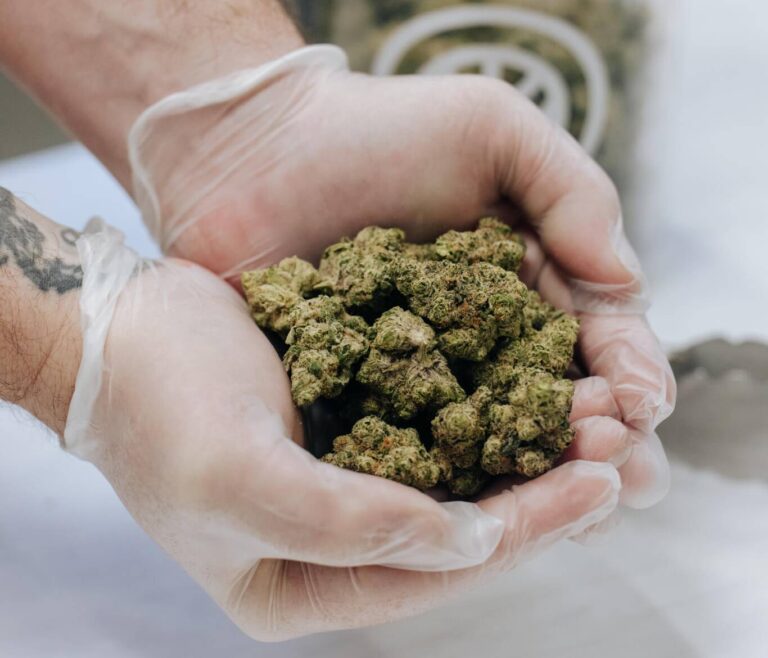 Recreational & Medical Cannabis Dispensaries | Kind Goods